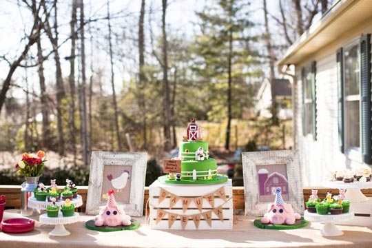 Fiesta de primer cumpleaños en La Granja | Decoracion Fiestas